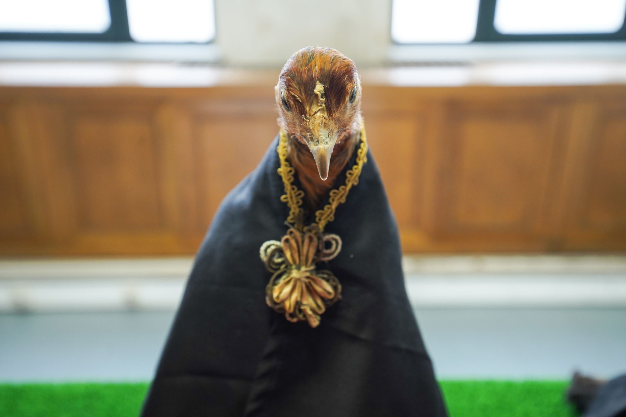 Binelde Hyrcan | Athens Biennale 2018